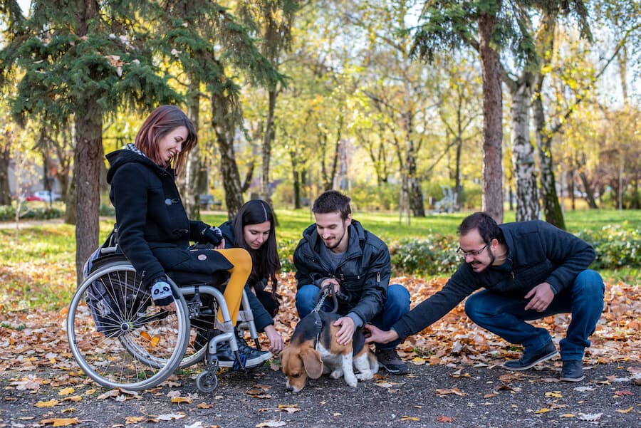 Home - SeeAbility NDIS Support Services